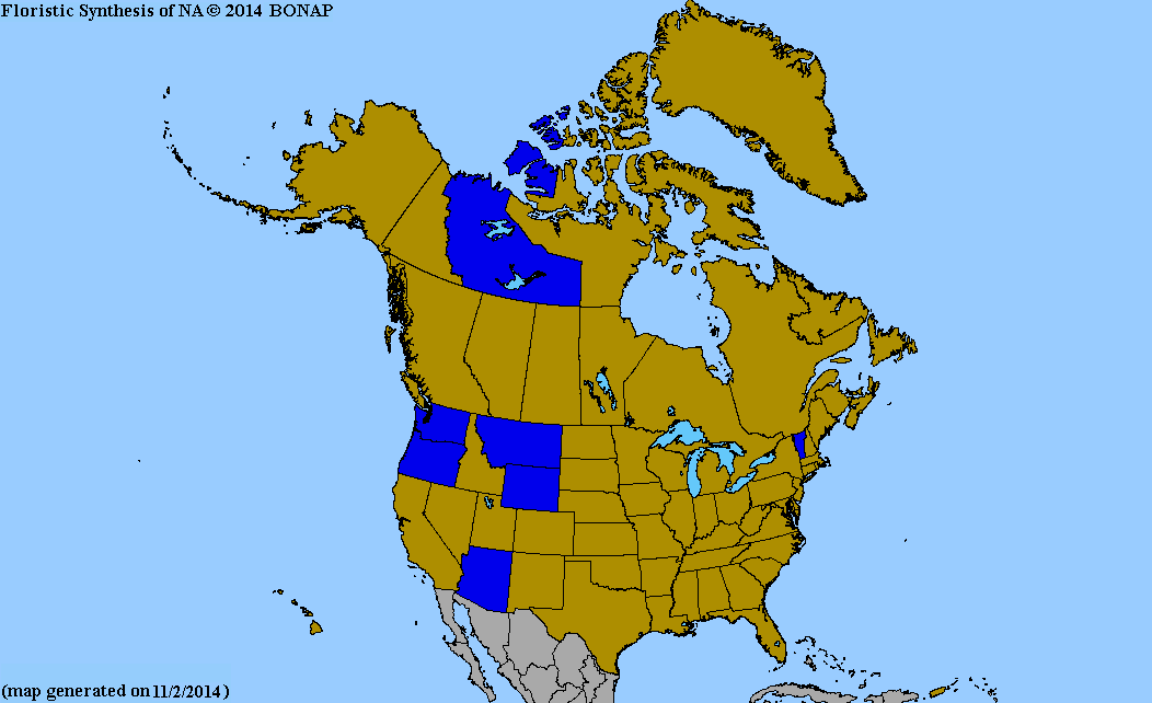 2013 BONAP North American Plant Atlas. TaxonMaps