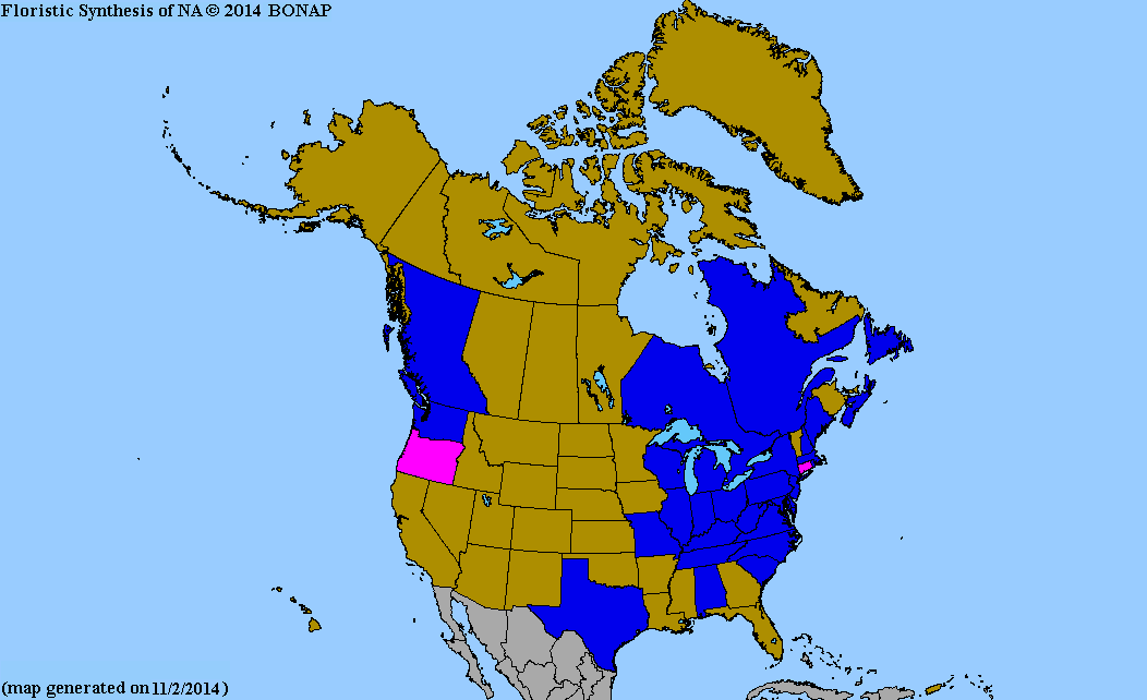 2013 BONAP North American Plant Atlas. TaxonMaps