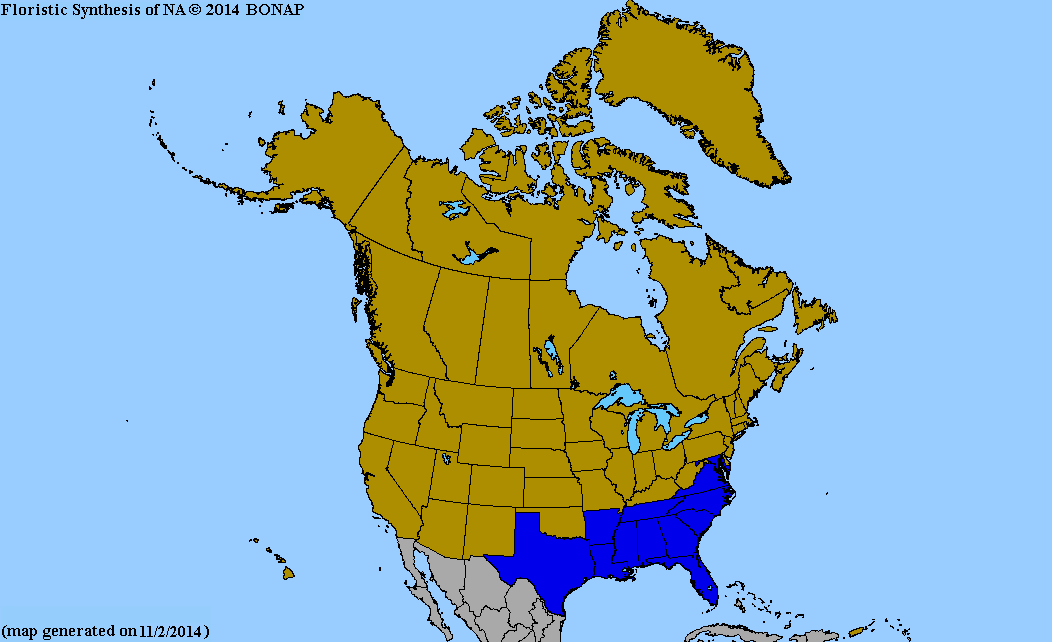 2013 BONAP North American Plant Atlas. TaxonMaps