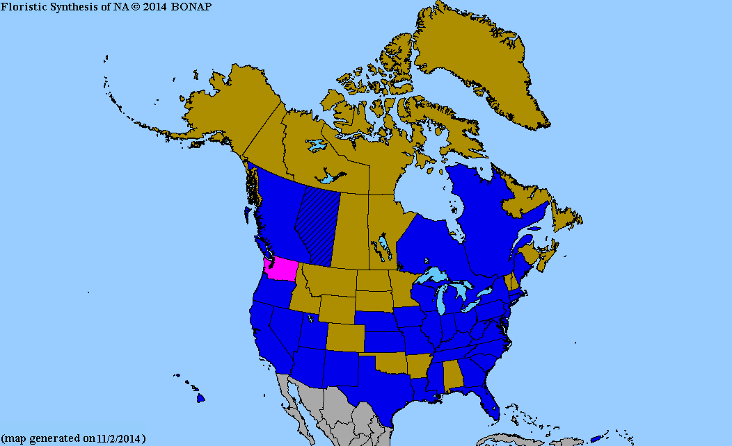 2013 BONAP North American Plant Atlas. TaxonMaps