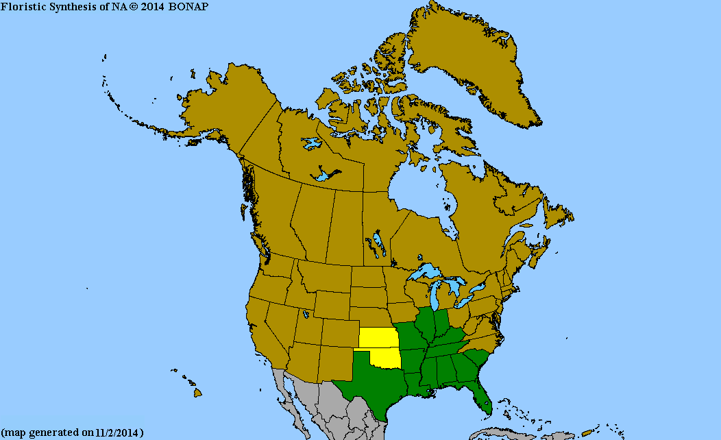 2013 BONAP North American Plant Atlas. TaxonMaps