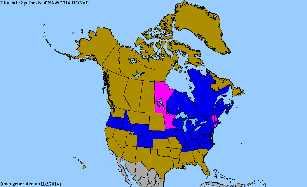 2013 BONAP North American Plant Atlas. TaxonMaps