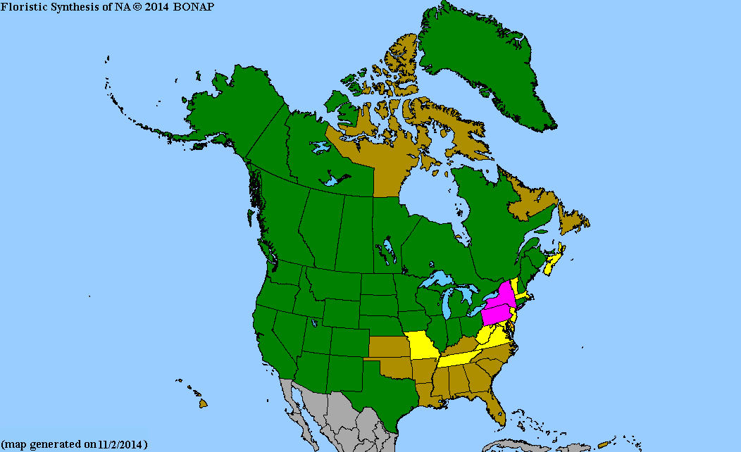 2013 BONAP North American Plant Atlas. TaxonMaps