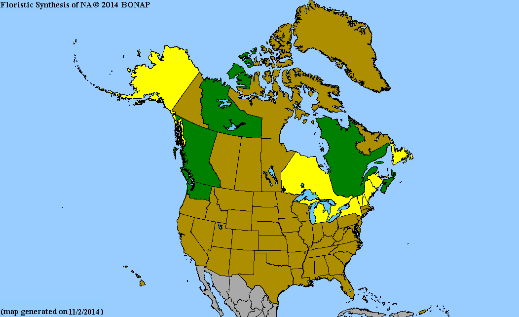 2013 BONAP North American Plant Atlas. TaxonMaps