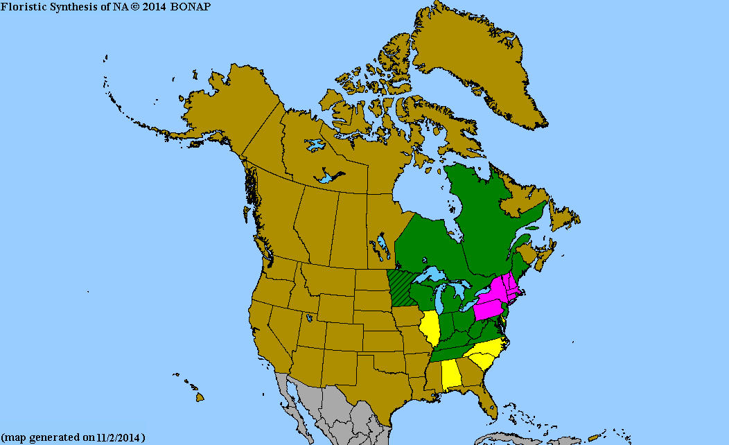 2013 BONAP North American Plant Atlas. TaxonMaps