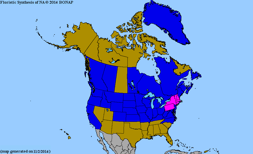 2013 BONAP North American Plant Atlas. TaxonMaps