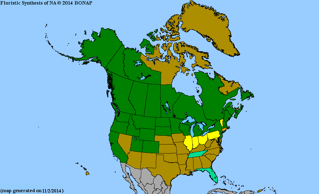 2013 BONAP North American Plant Atlas. TaxonMaps