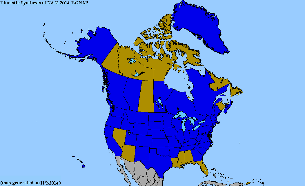 2013 BONAP North American Plant Atlas. TaxonMaps