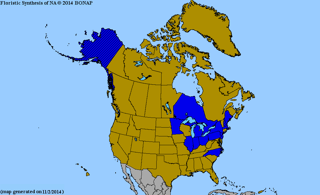 2013 BONAP North American Plant Atlas. TaxonMaps