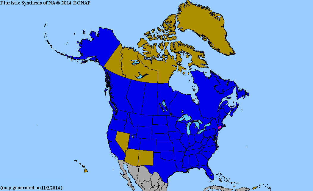 2013 BONAP North American Plant Atlas. TaxonMaps
