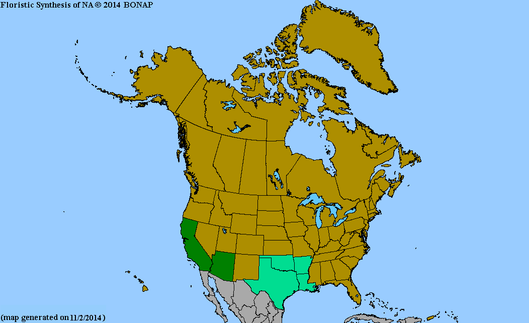 2013 BONAP North American Plant Atlas. TaxonMaps