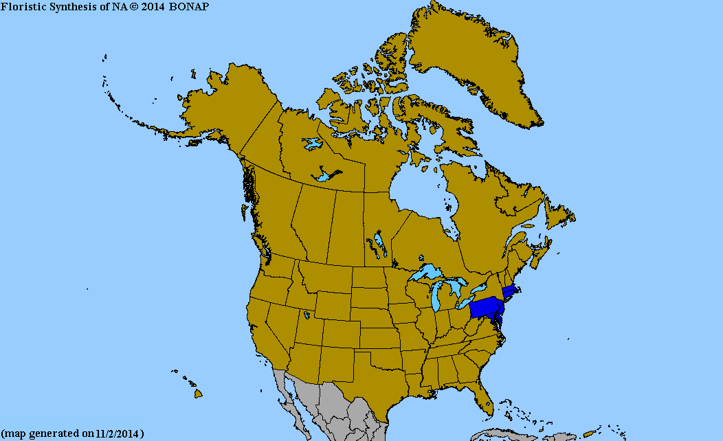 2013 BONAP North American Plant Atlas. TaxonMaps