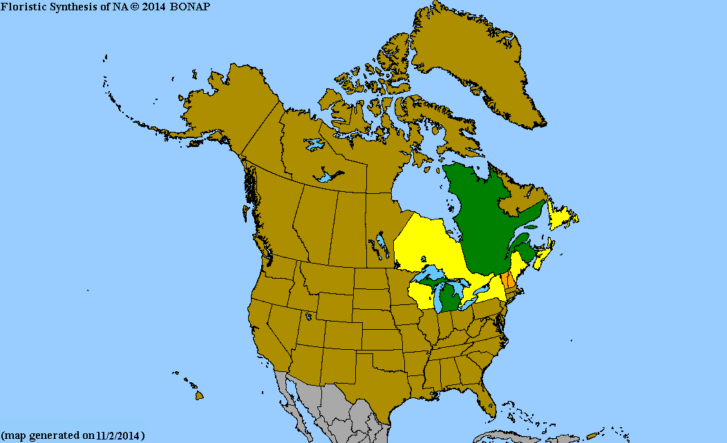 2013 BONAP North American Plant Atlas. TaxonMaps