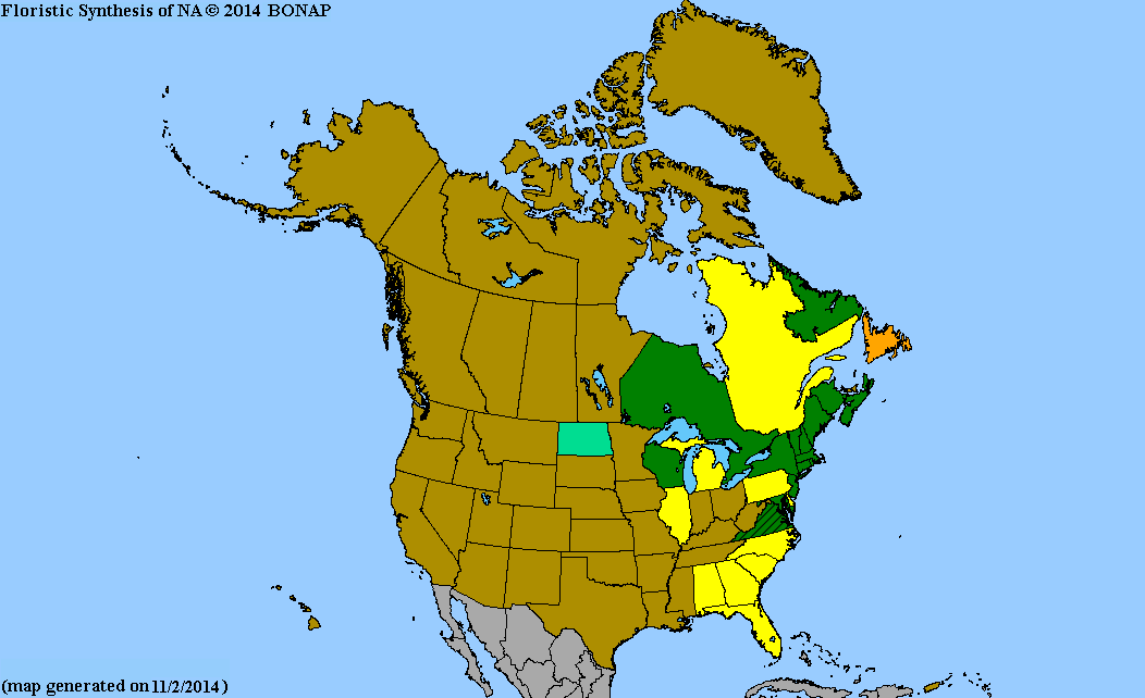 2013 BONAP North American Plant Atlas. TaxonMaps