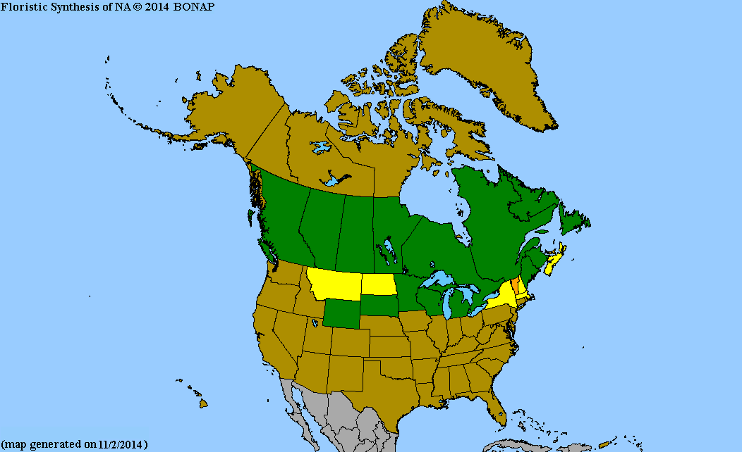 2013 BONAP North American Plant Atlas. TaxonMaps