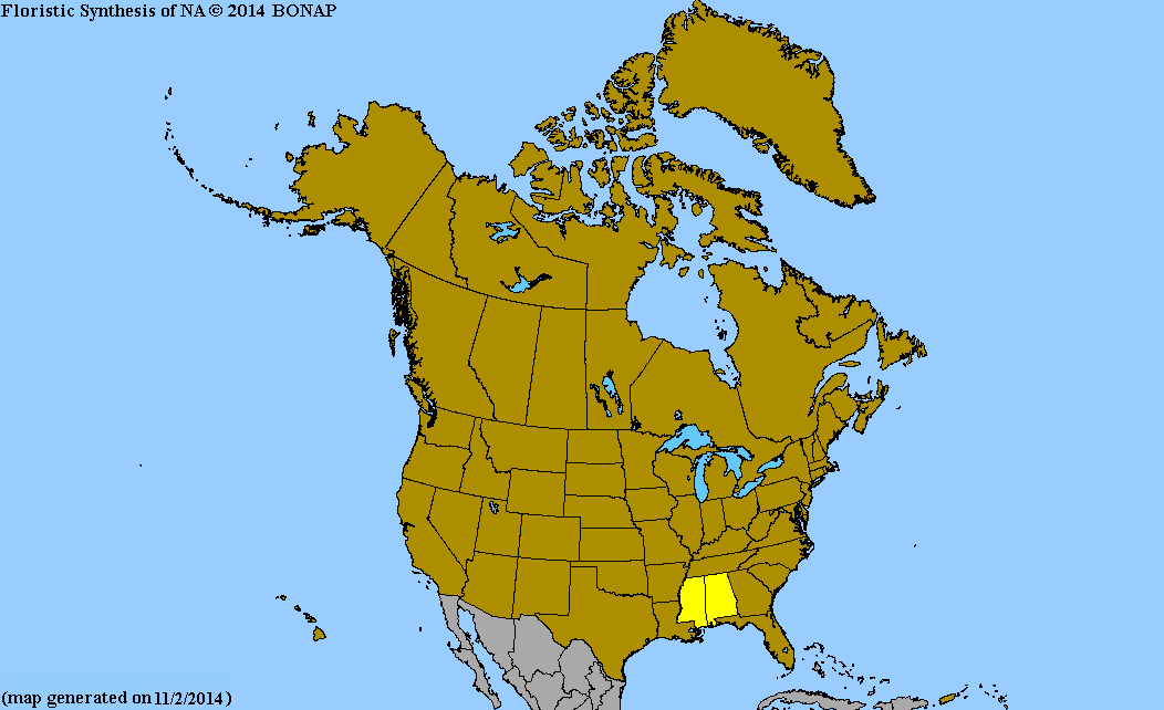 2013 BONAP North American Plant Atlas. TaxonMaps
