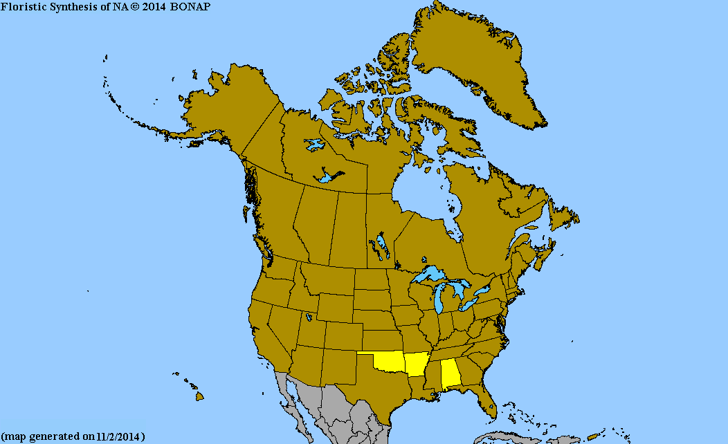 2013 BONAP North American Plant Atlas. TaxonMaps