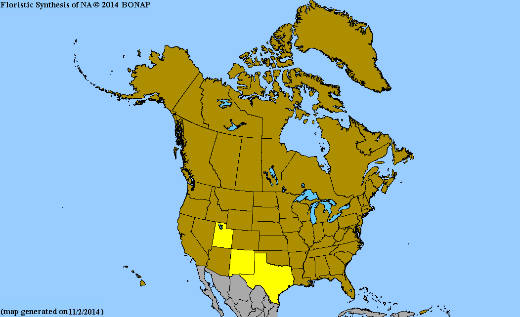 2013 BONAP North American Plant Atlas. TaxonMaps