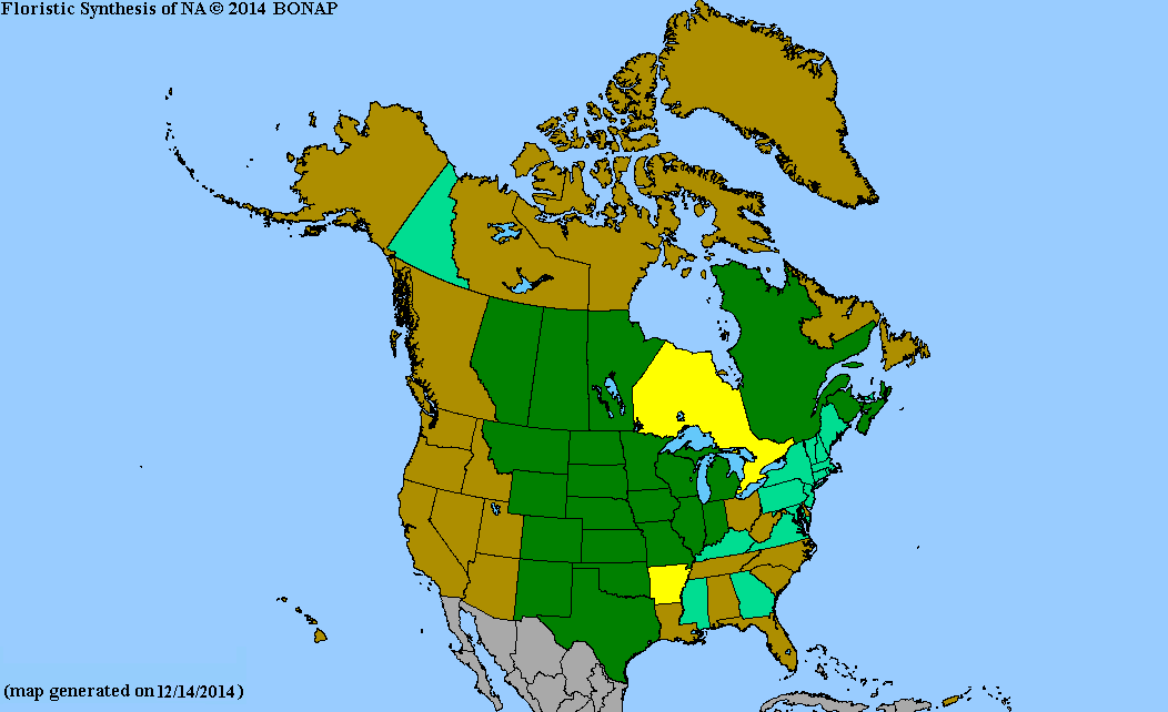 2013 BONAP North American Plant Atlas. TaxonMaps