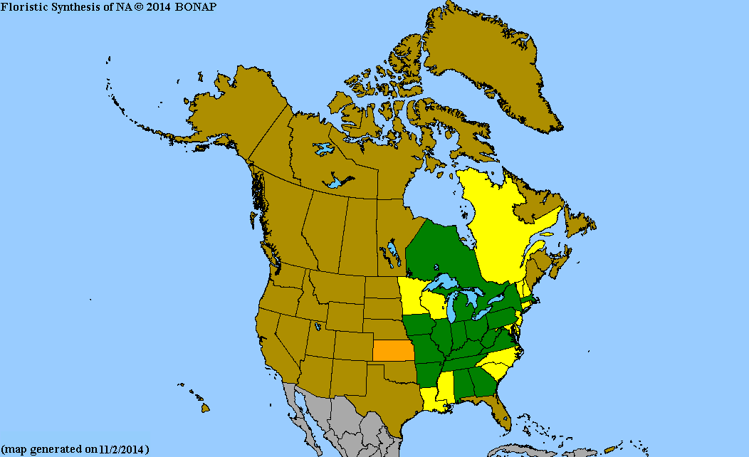 2013 BONAP North American Plant Atlas. TaxonMaps