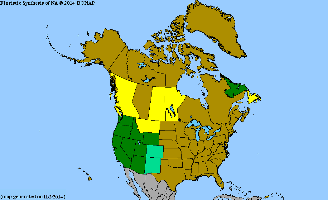 2013 BONAP North American Plant Atlas. TaxonMaps