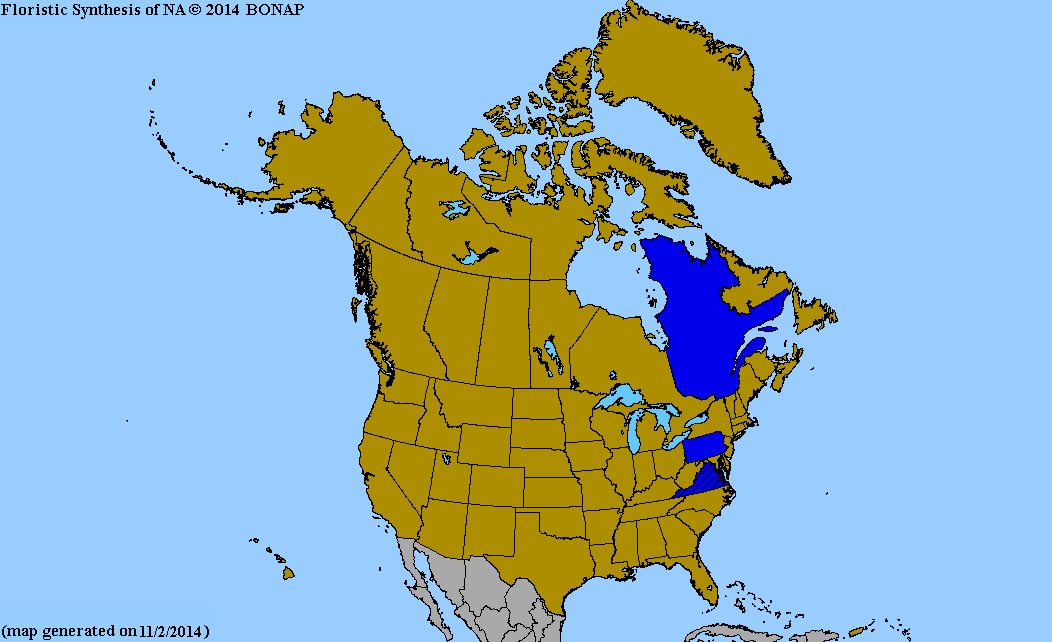 2013 BONAP North American Plant Atlas. TaxonMaps