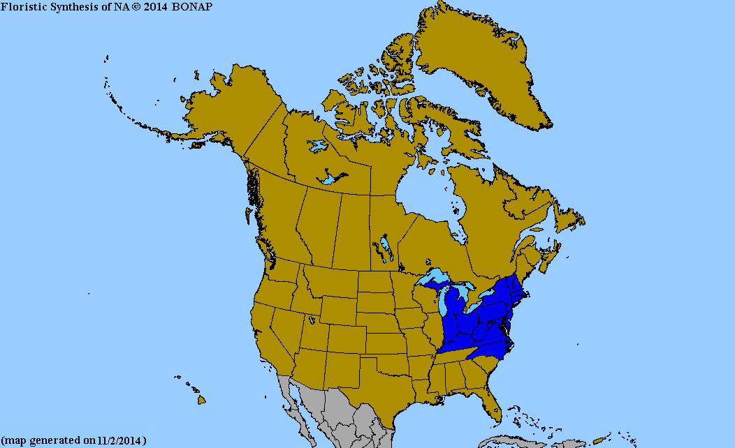 2013 BONAP North American Plant Atlas. TaxonMaps