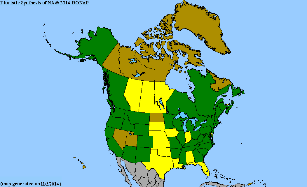 2013 BONAP North American Plant Atlas. TaxonMaps