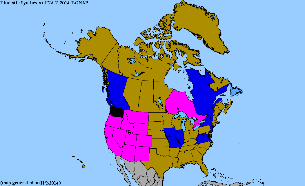 2013 BONAP North American Plant Atlas. TaxonMaps