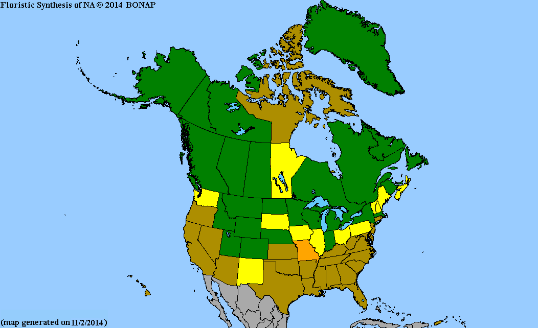 2013 BONAP North American Plant Atlas. TaxonMaps