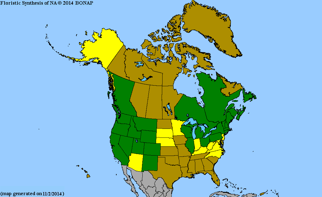 2013 BONAP North American Plant Atlas. TaxonMaps