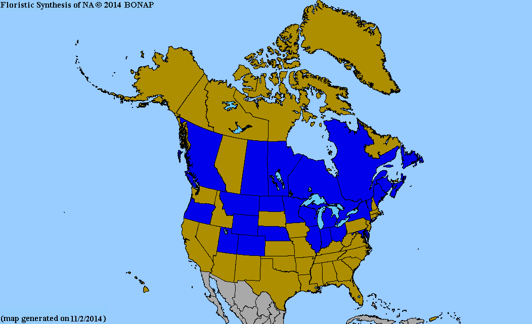 2013 BONAP North American Plant Atlas. TaxonMaps
