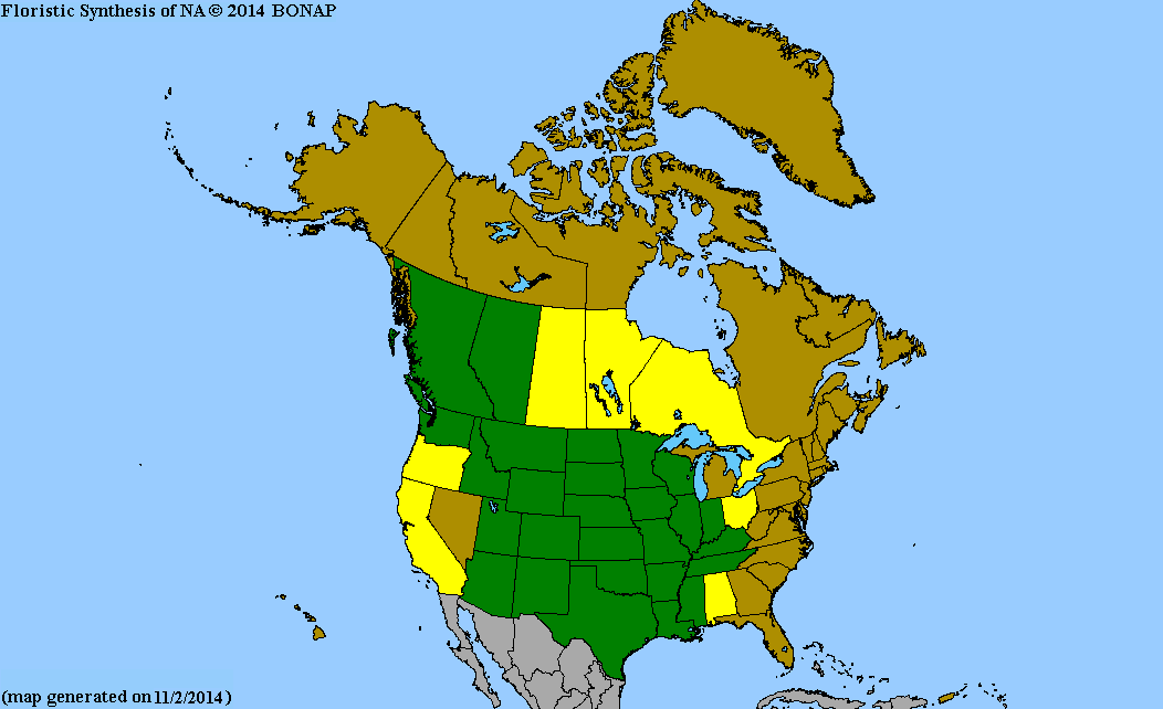 2013 BONAP North American Plant Atlas. TaxonMaps