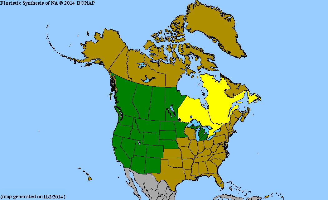 2013 BONAP North American Plant Atlas. TaxonMaps