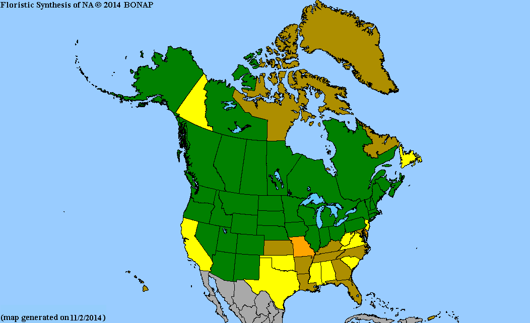 2013 BONAP North American Plant Atlas. TaxonMaps