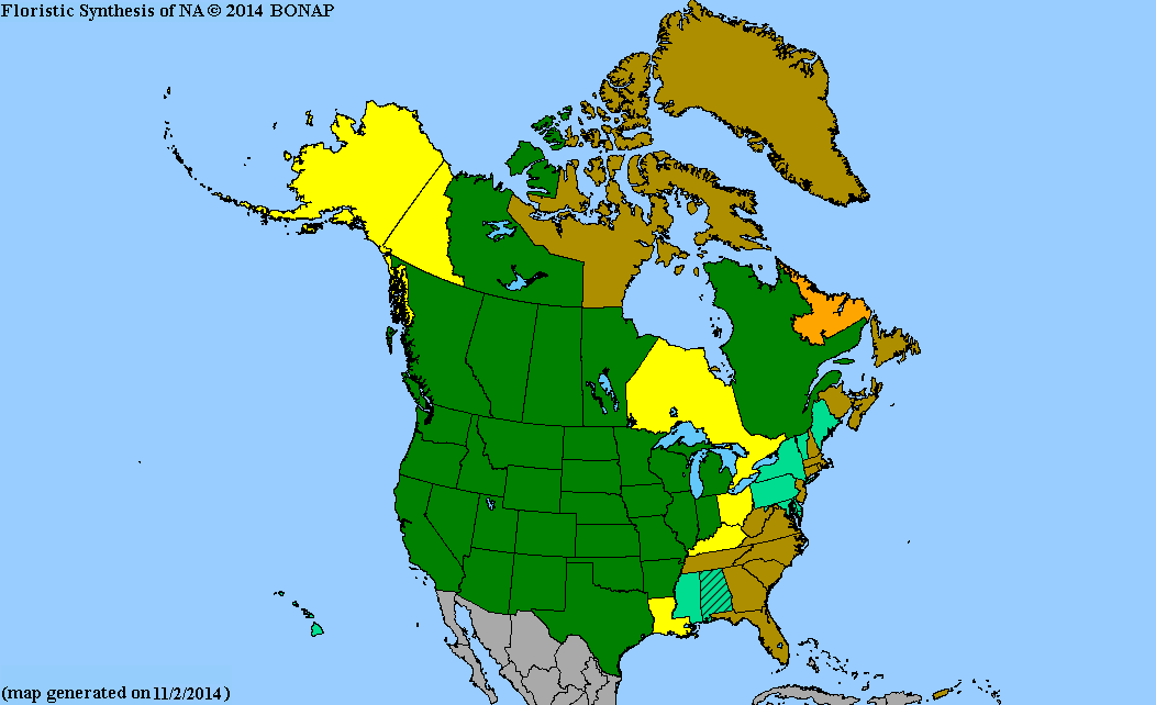 2013 BONAP North American Plant Atlas. TaxonMaps