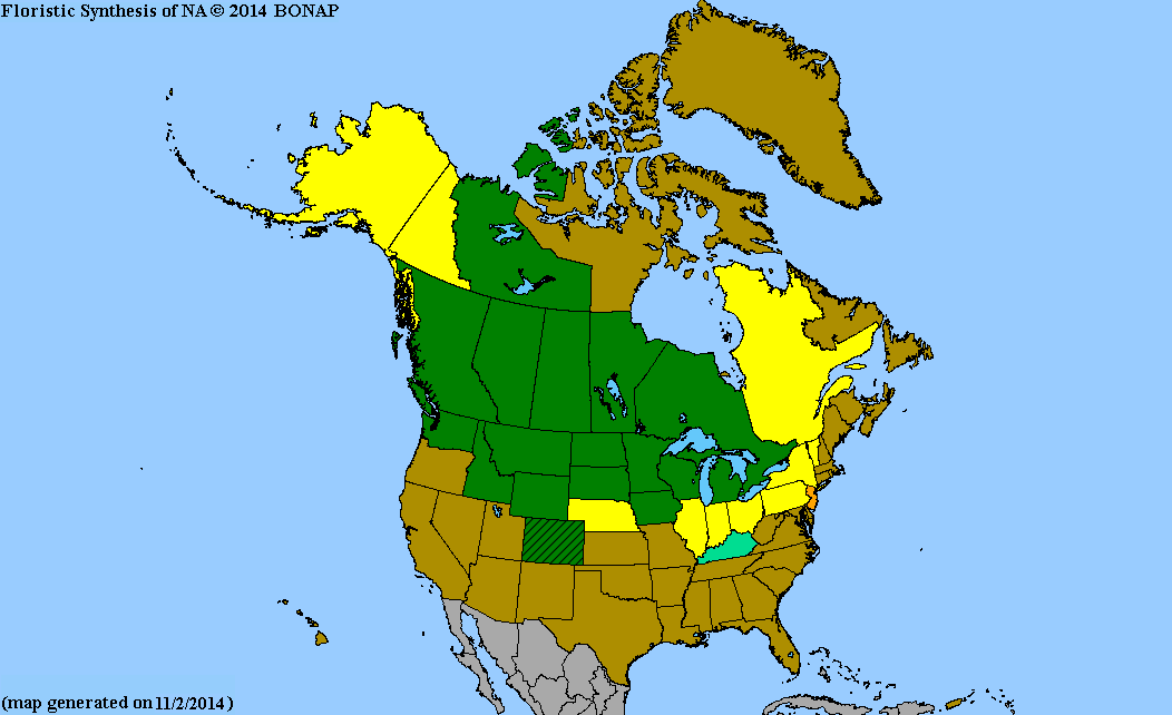 2013 BONAP North American Plant Atlas. TaxonMaps