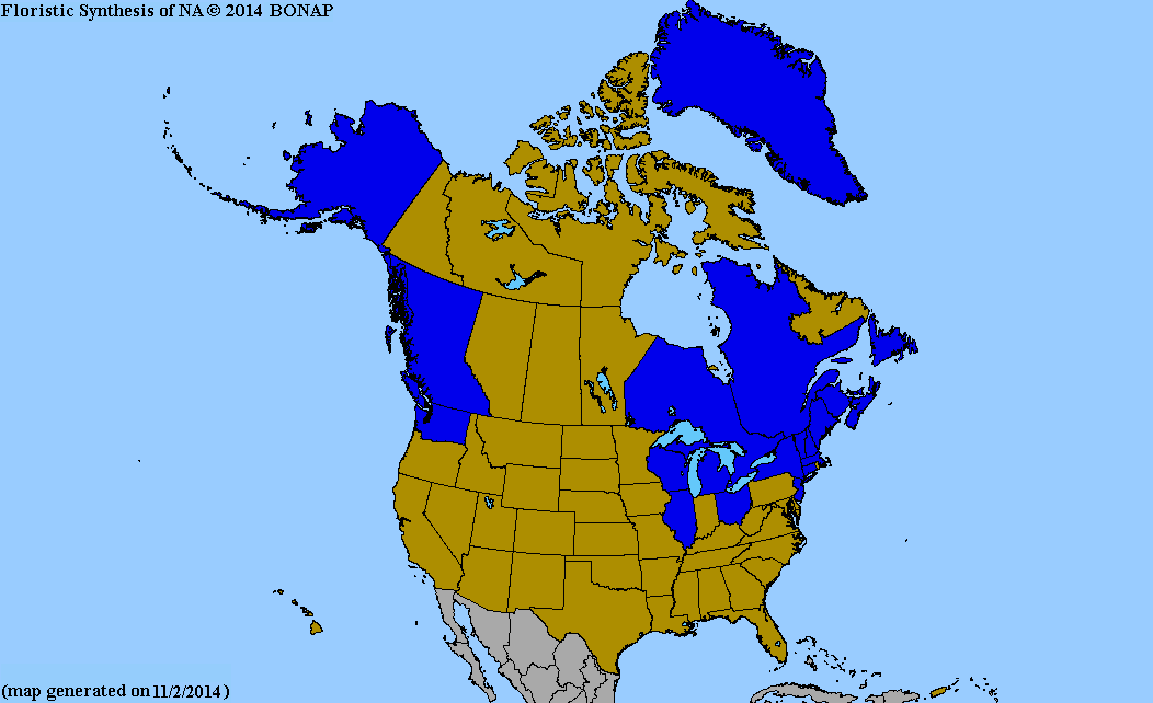 2013 BONAP North American Plant Atlas. TaxonMaps