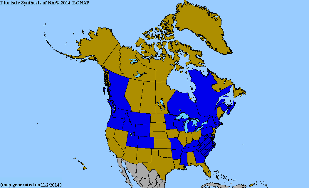 2013 BONAP North American Plant Atlas. TaxonMaps