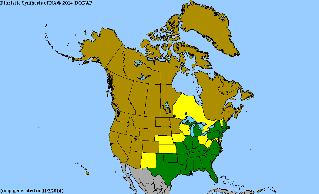 2013 BONAP North American Plant Atlas. TaxonMaps