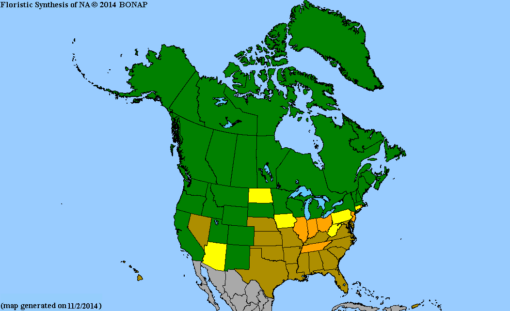 2013 BONAP North American Plant Atlas. TaxonMaps