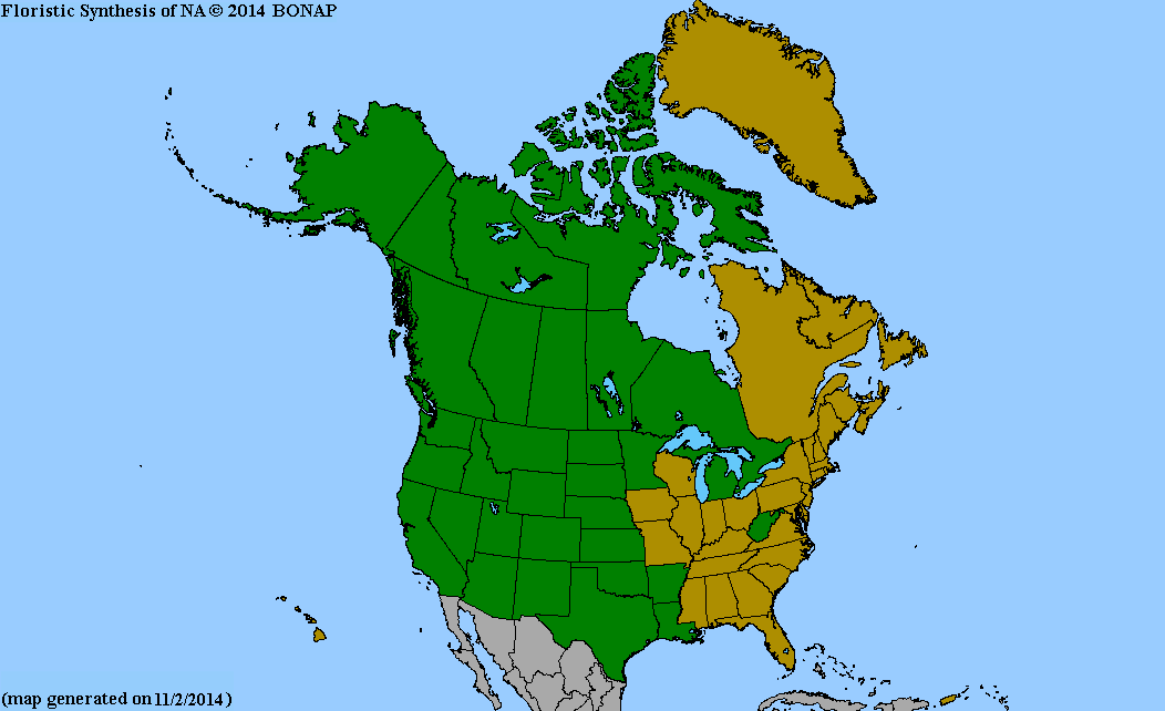 2013 BONAP North American Plant Atlas. TaxonMaps