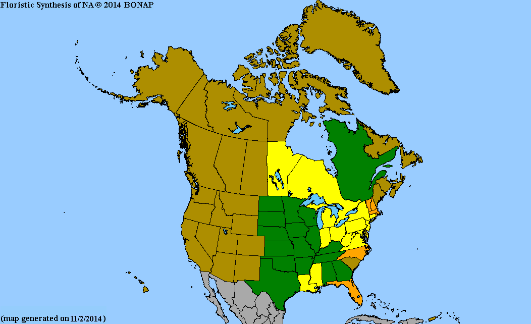 2013 BONAP North American Plant Atlas. TaxonMaps