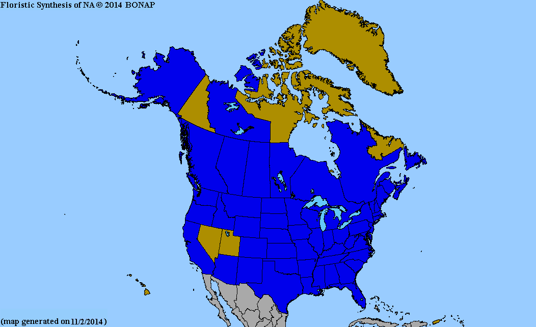 2013 BONAP North American Plant Atlas. TaxonMaps