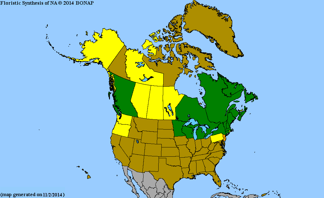2013 BONAP North American Plant Atlas. TaxonMaps