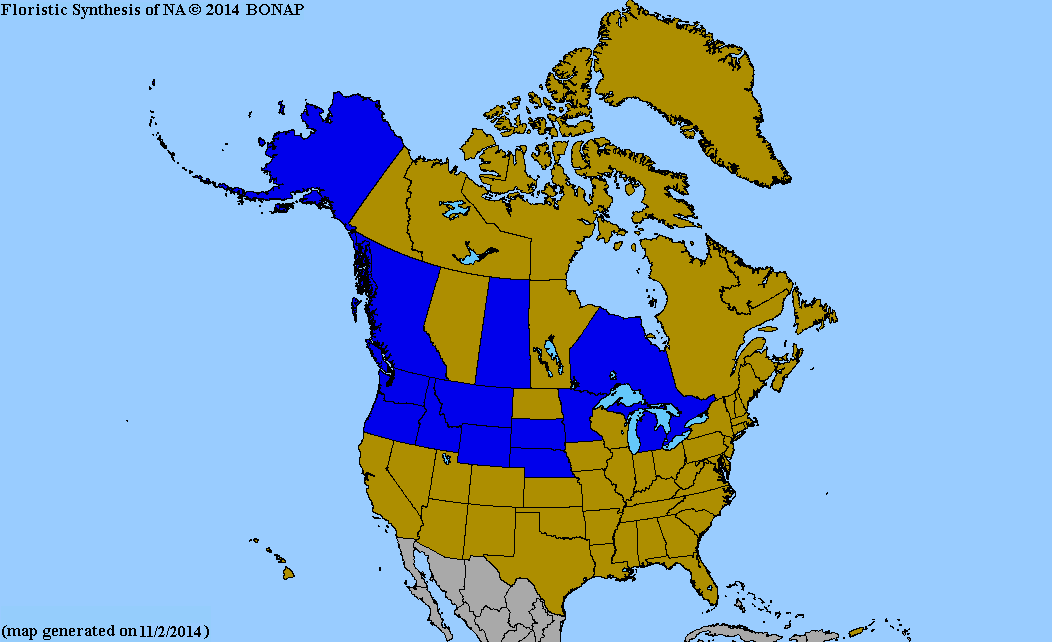 2013 BONAP North American Plant Atlas. TaxonMaps