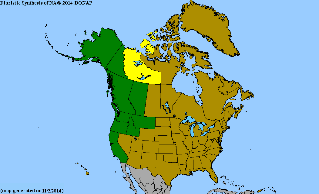 2013 BONAP North American Plant Atlas. TaxonMaps