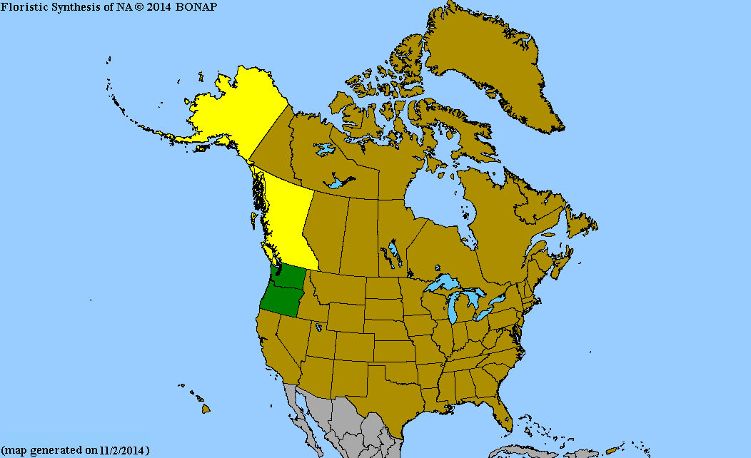 2013 BONAP North American Plant Atlas. TaxonMaps