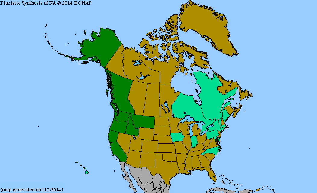 2013 BONAP North American Plant Atlas. TaxonMaps