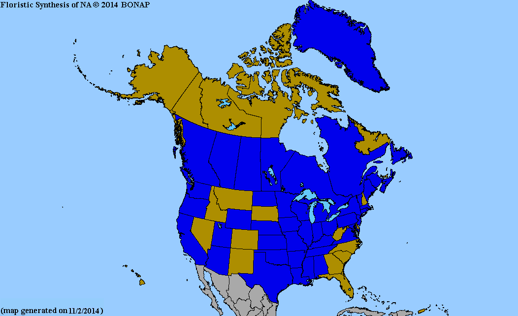 2013 BONAP North American Plant Atlas. TaxonMaps